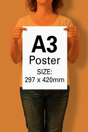 Waterproof PVC posters printing - Northstar Design
